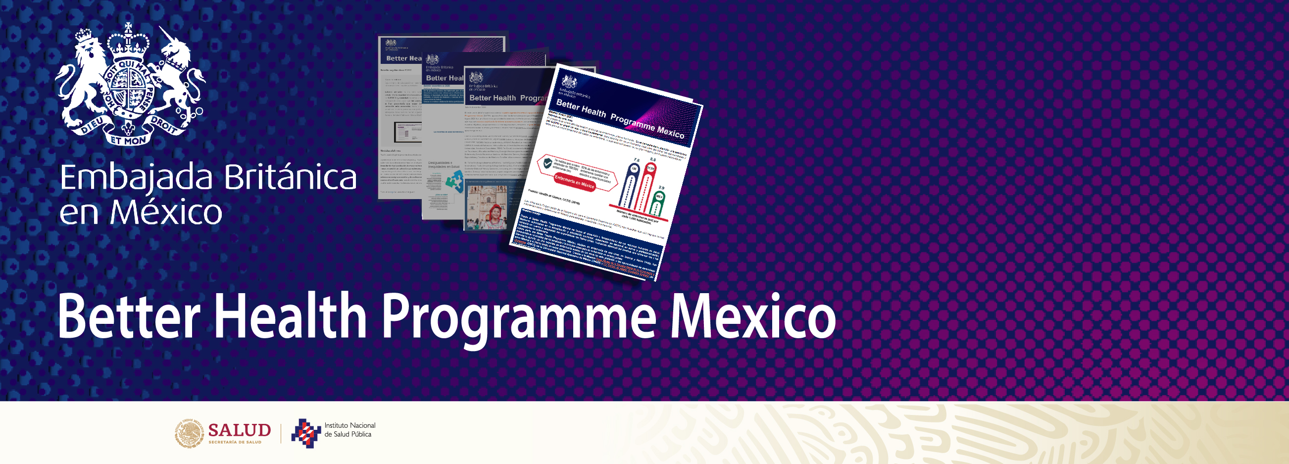 Instituto Nacional de Salud Pública